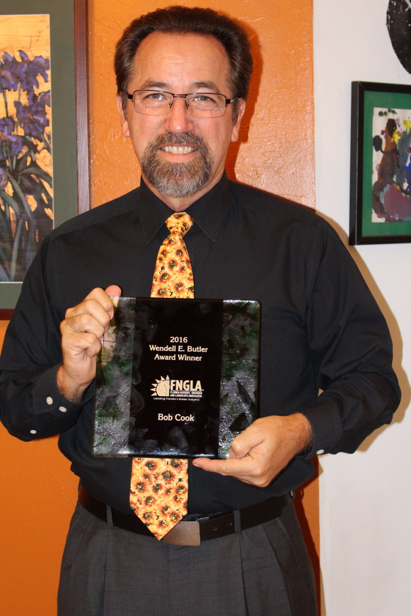 Awesome Award – Cardboard Palm